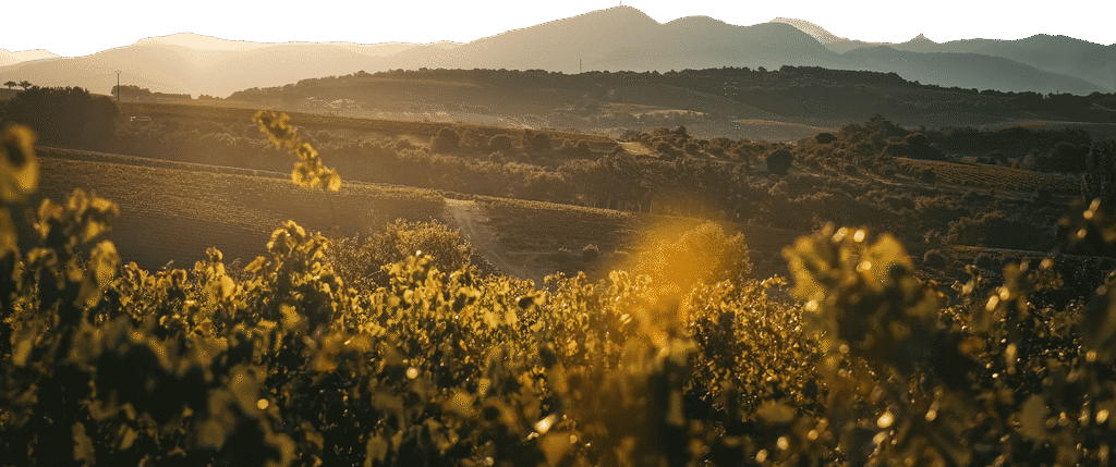 Domaines du Mont - Val Des Rois